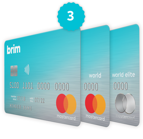 Brim Financial Inc